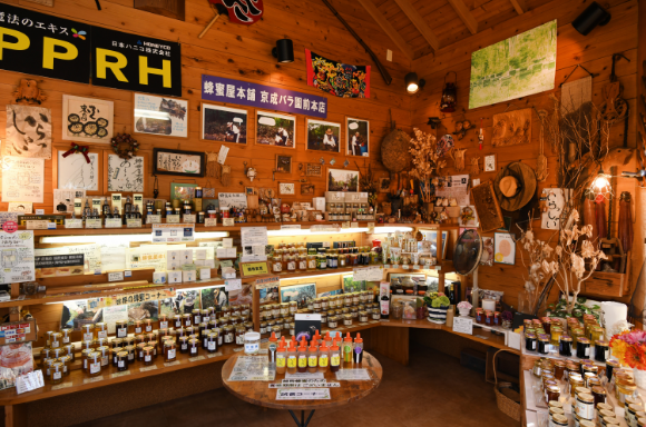 お知らせ｜ホームページのリニューアルをしました｜PPRHハニープロジェクト【日本ハニコ株式会社】